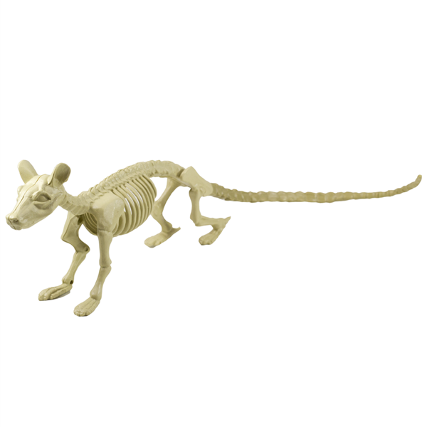 Esqueleto Rato, 20 cm | Misterius.pt | NOVIDADE