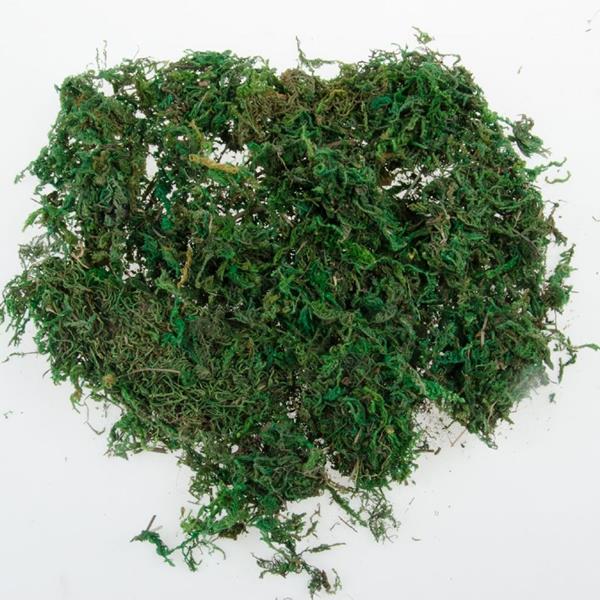 Musgo Artificial | Misterius.pt